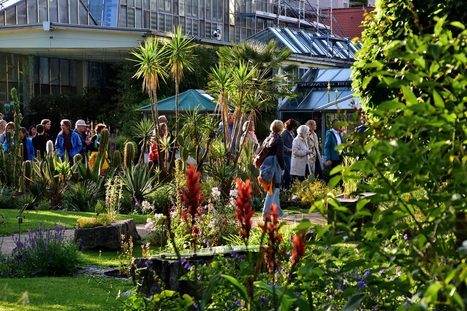 Tag des Baumes: Pionierbaumarten und die Zitterpappel, Rudolf Höcker ...