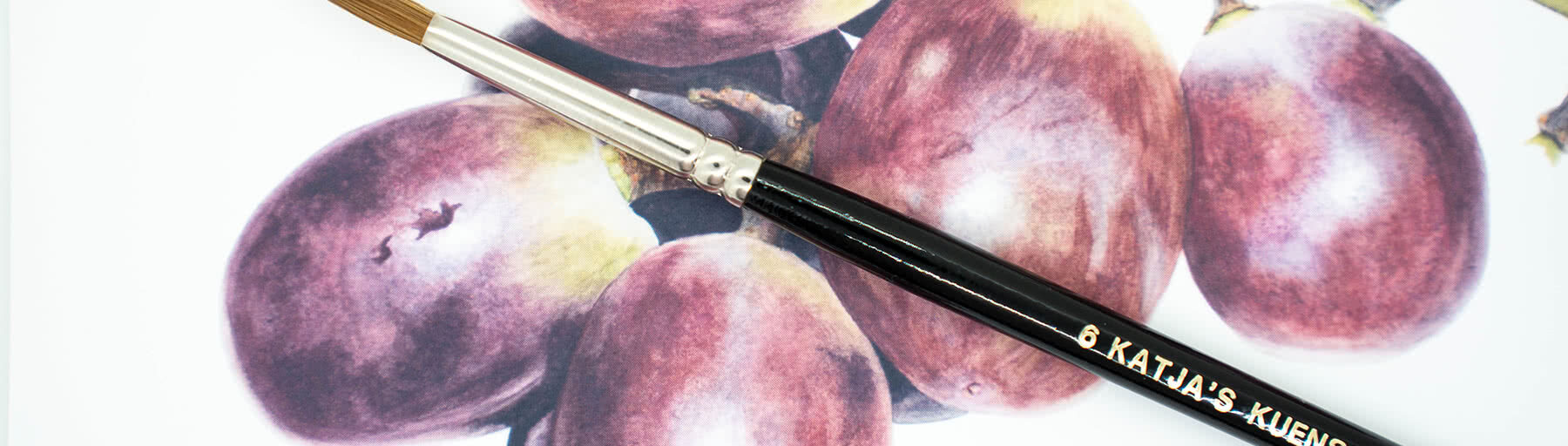 Workshop Botanische Illustration - Botanischer Garten Erlangen